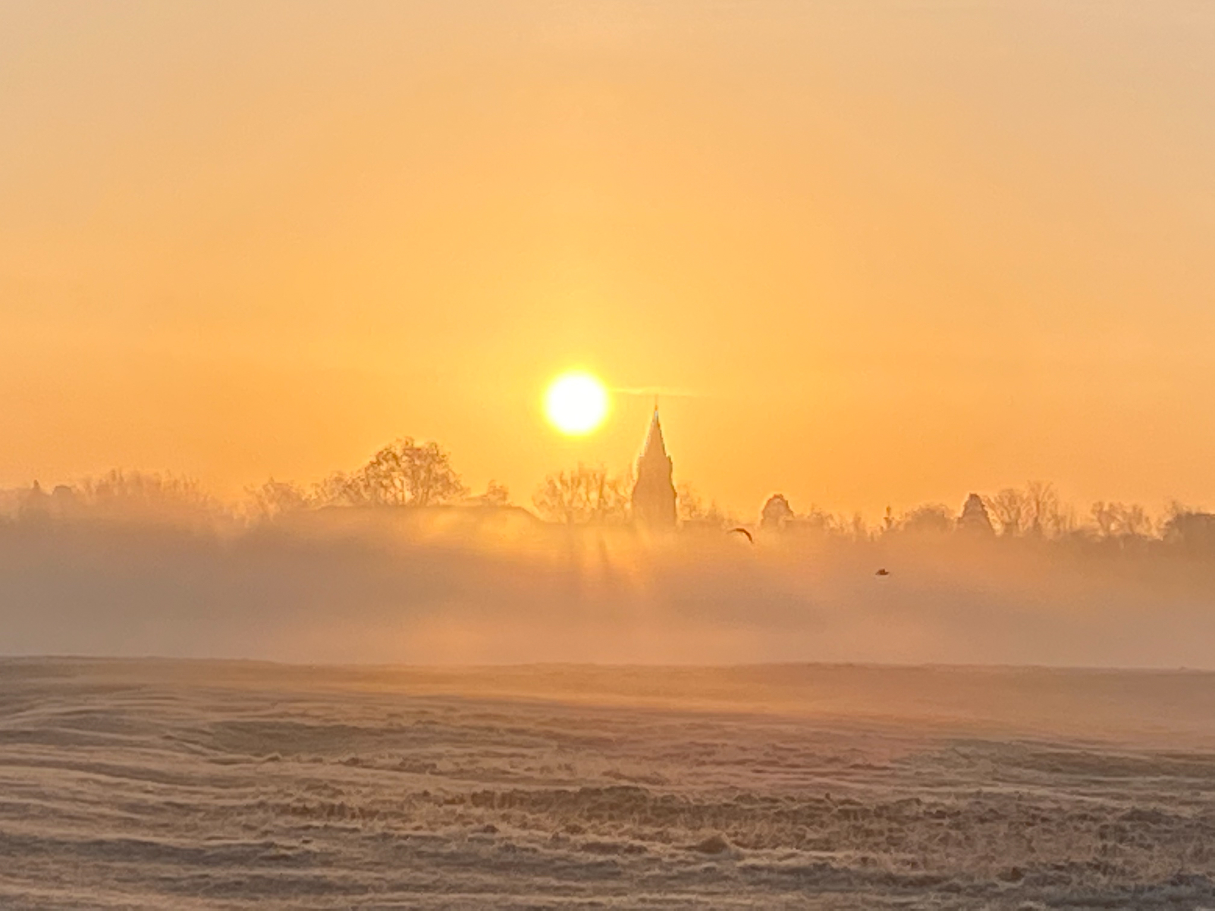 A Sonnet for Easter Dawn – Consider the Lilies – Clare Hayns